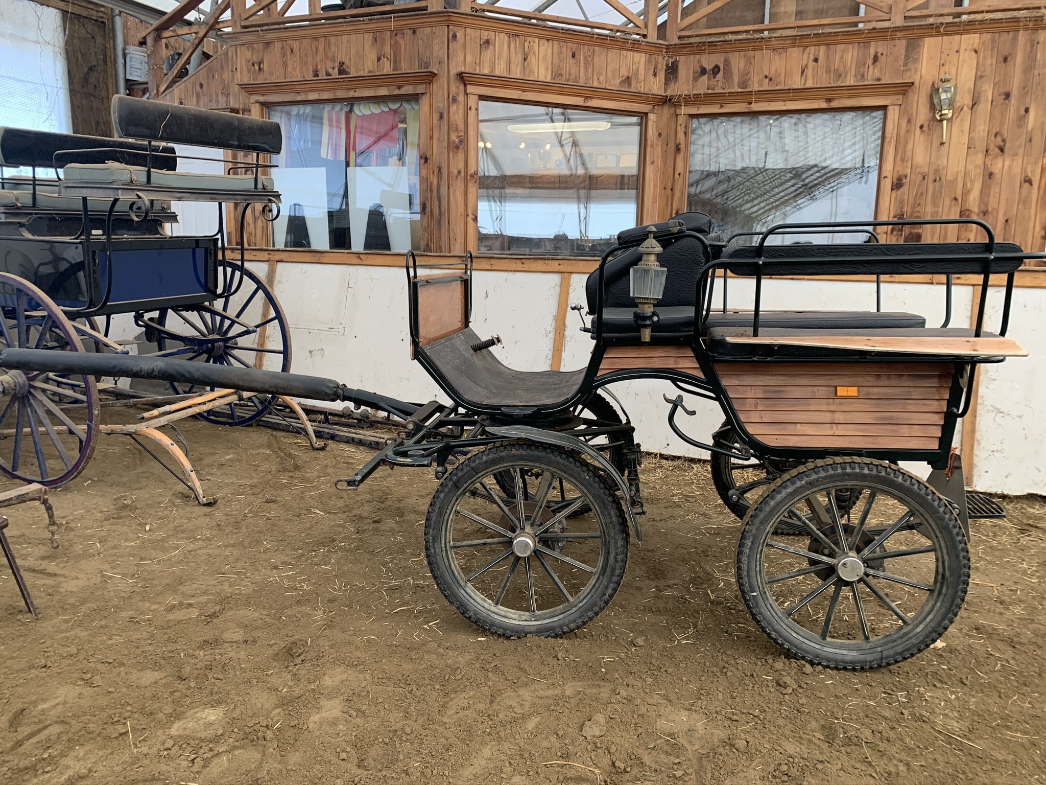 Friesians of Majesty